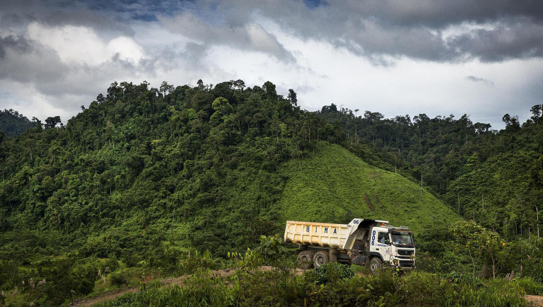 Into the heart of the Borneo jungle | Volvo Trucks Magazine